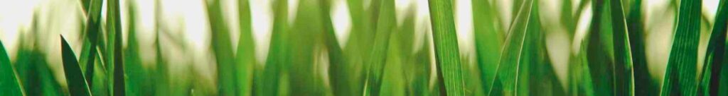 Product Compatibility | Indigrow